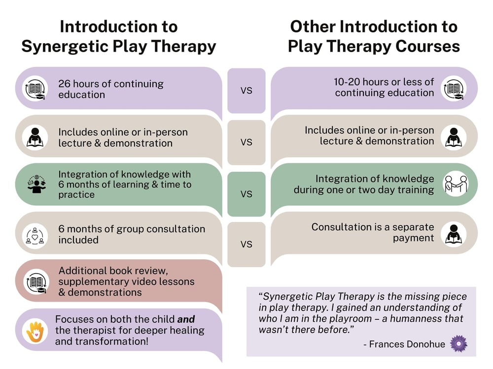 Introduction to Synergetic Play Therapy